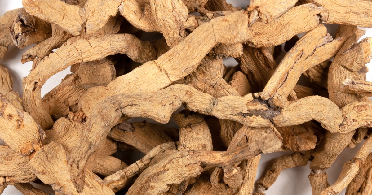 Morinda (Root,fruit), Morinda citrifolia - Top Quality Herbs & Tinctures