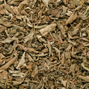 Black Indian Hemp (Root), Apocynum cannabinum - Top Quality Herbs ...